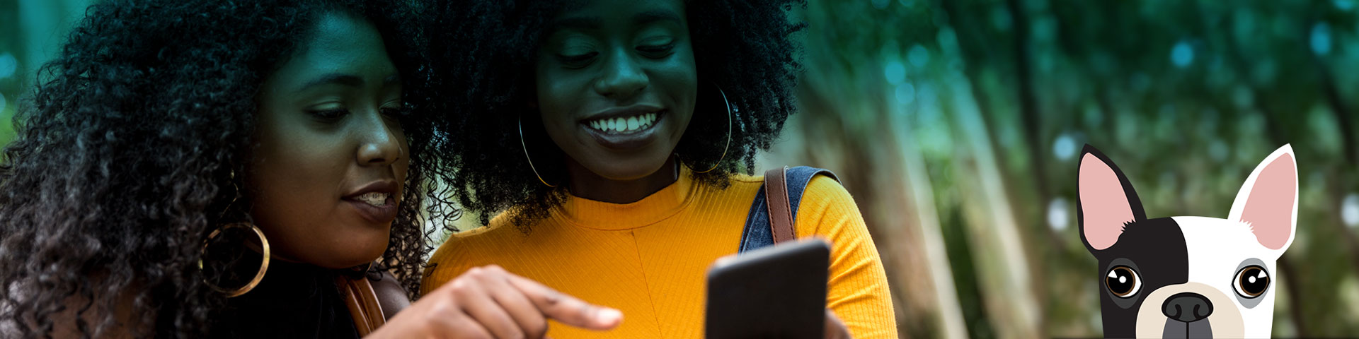 Loyal Shops | Texting Services | SMS Marketing | Mass Messaging